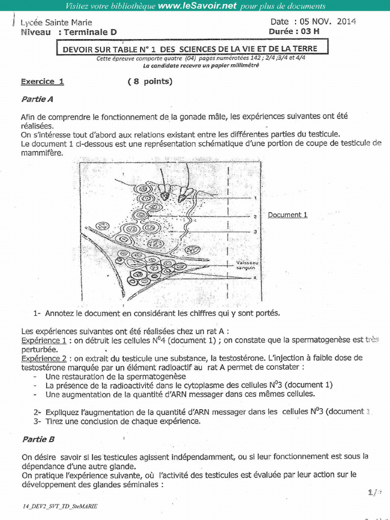 14 DEV2 SVT TD SteMARIE | PDF
