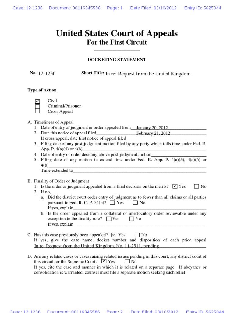 BC Docketing Statement | Judgment (Law) | Appeal