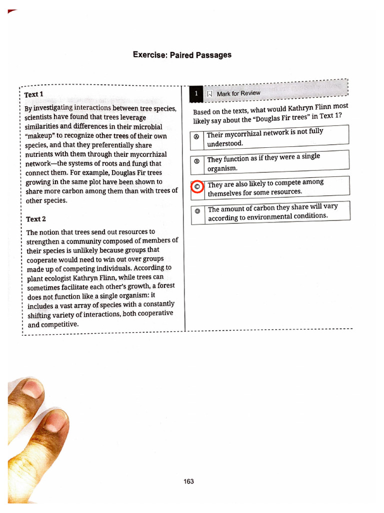 Erica - Cross Text | PDF