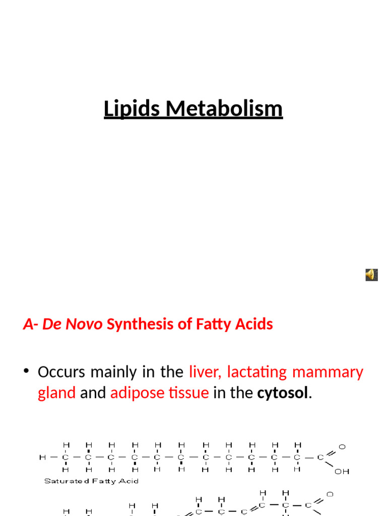 Lipids Metabolism 1 Sound | PDF
