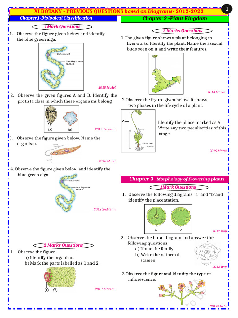 XI Botany Prev Qns Based On Diagrams 2012-22 All Chapters | PDF ...