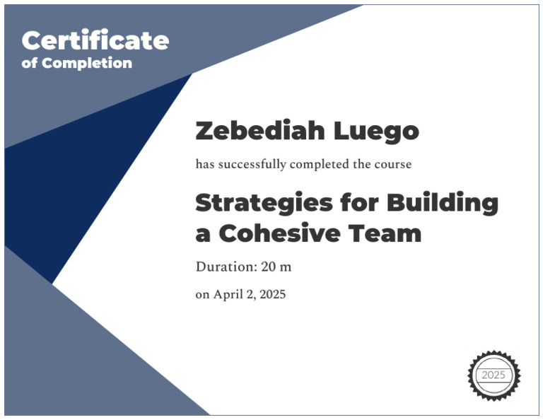 Strategies for Building a Cohesive Team | PDF
