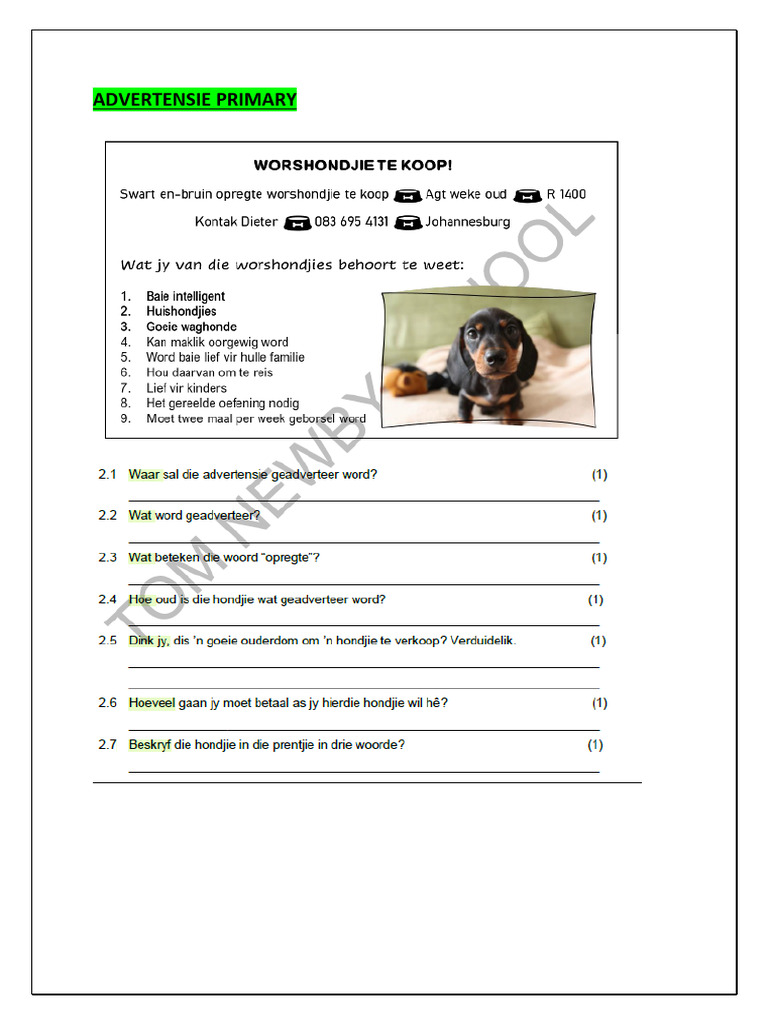 Advertensie Primary 1 | PDF