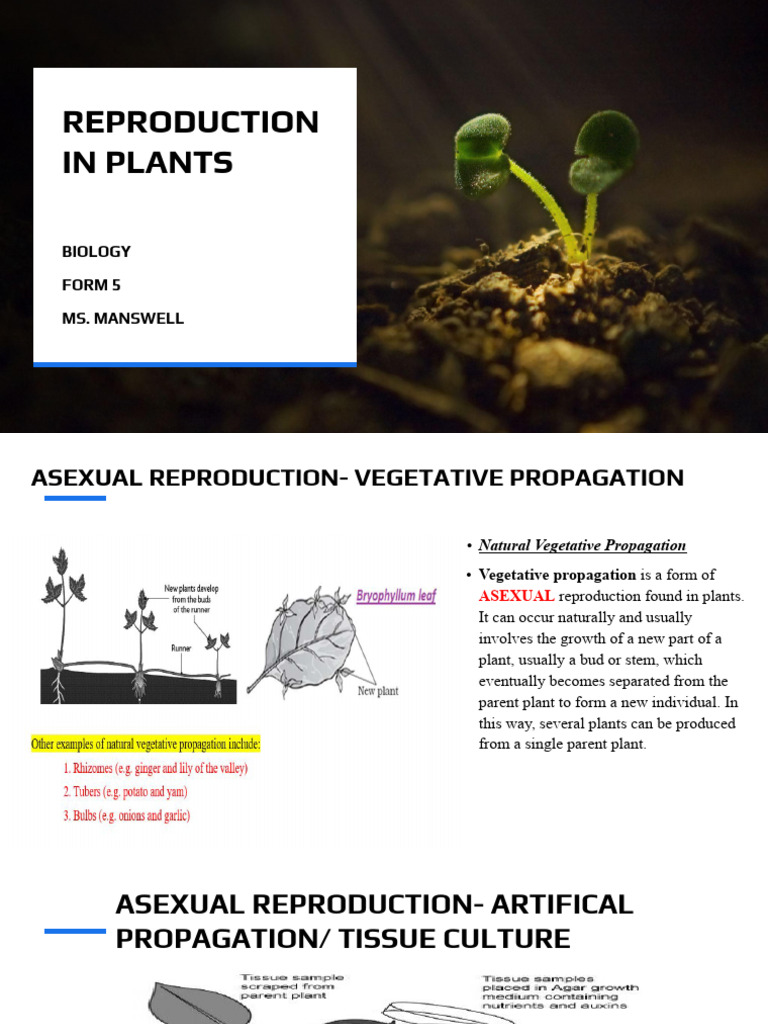 Biology notes-REPRODUCTION IN PLANTS | PDF | Flowers | Reproduction