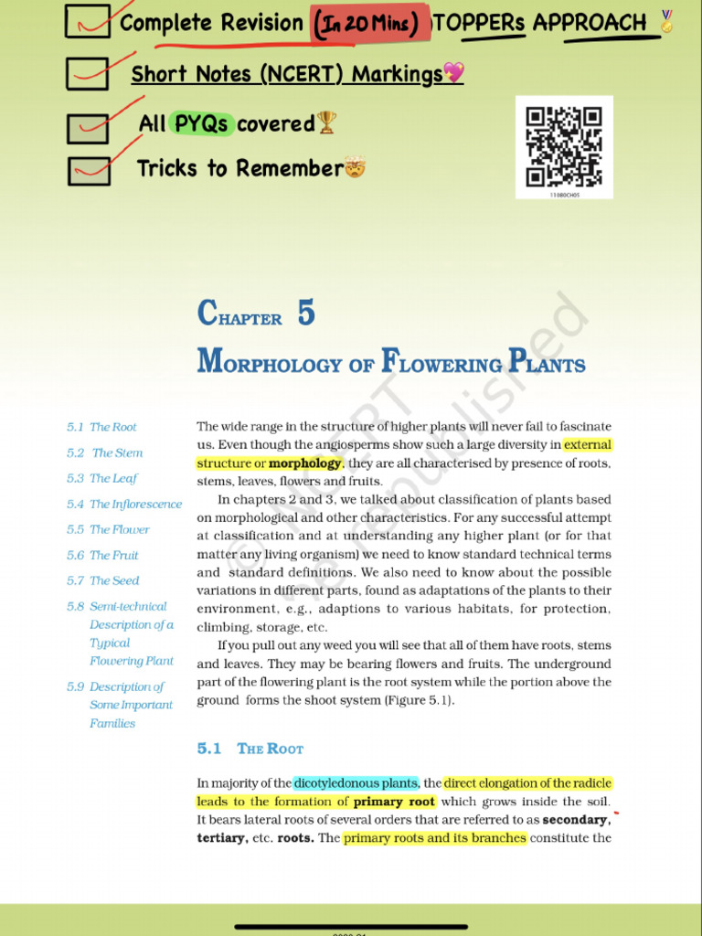 Morphology NCERT Highlighted | PDF