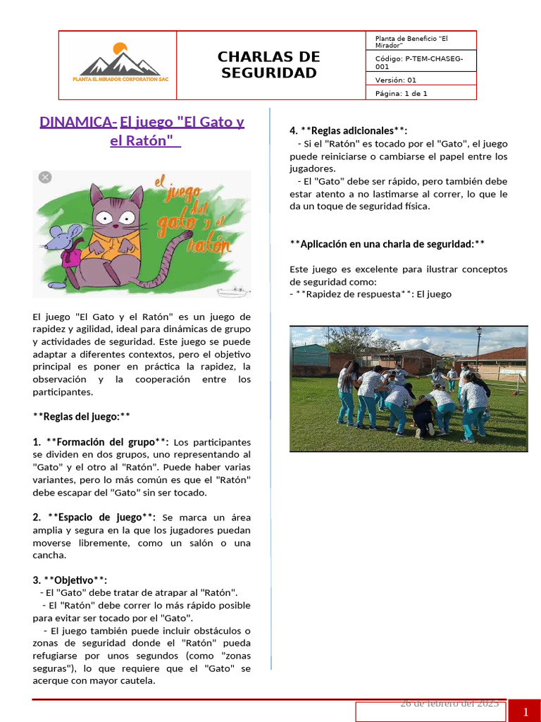 Dinámica del Gato y el Ratón en Seguridad | PDF