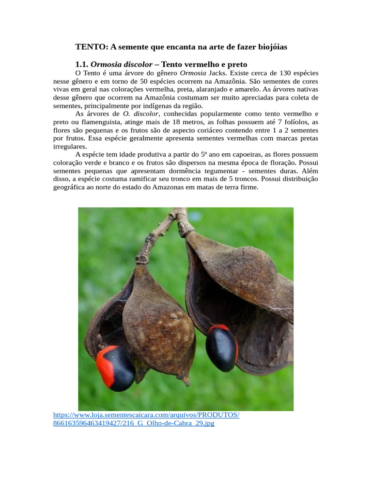 Sementes de Tento na Biojoia Amazônica | PDF | Semente | Germinação