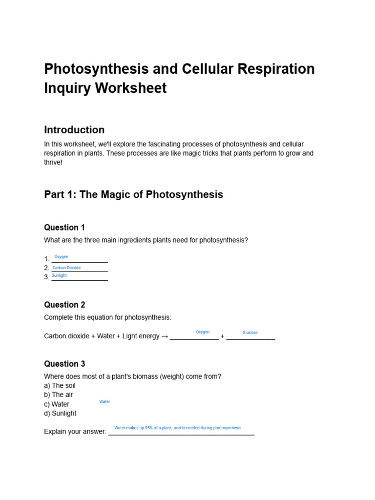 Kami Export - Inquiry Worksheet-Photosynthesis and Cellular Respiration ...