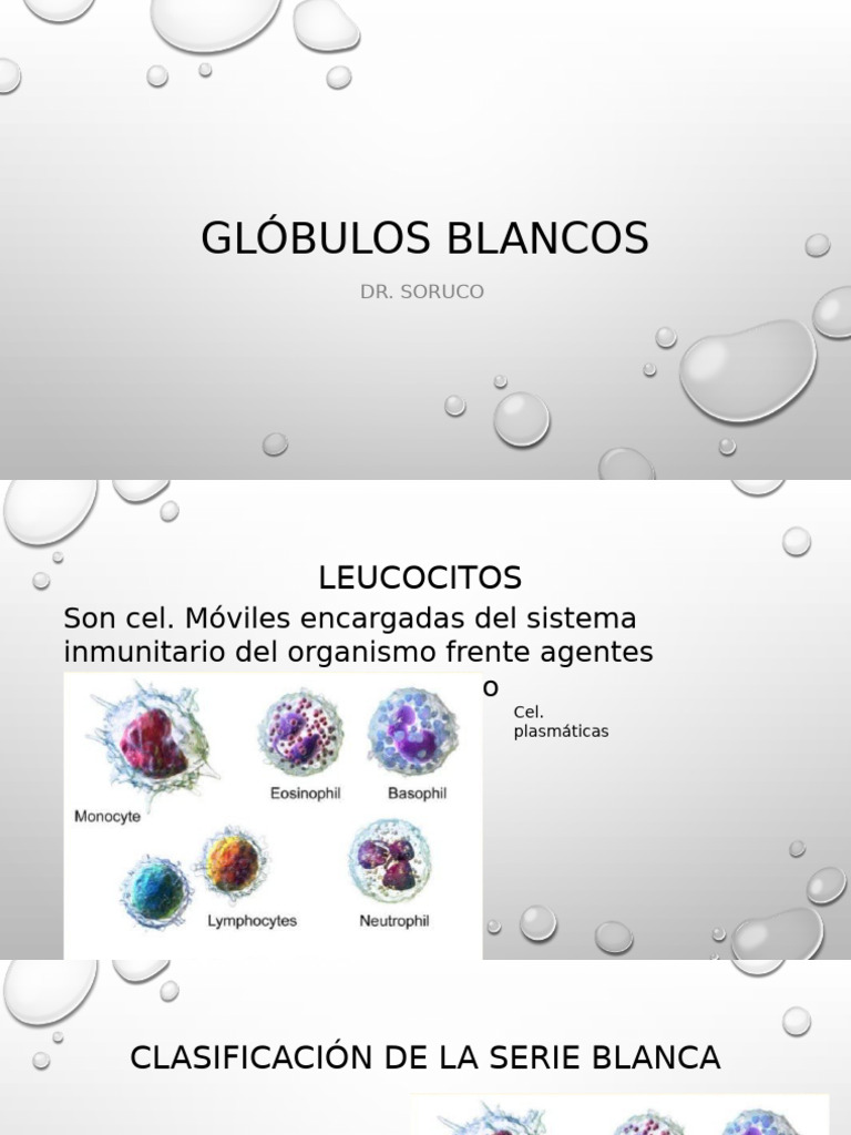 Glóbulos Blancos | PDF