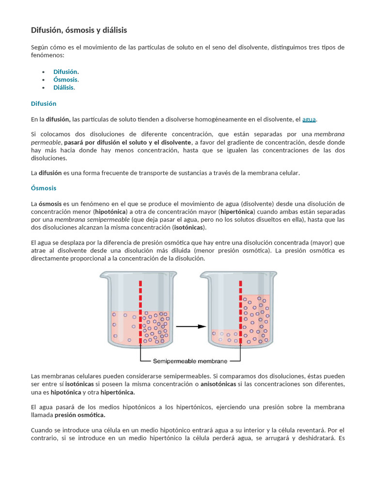 Difusion y Osmosis | PDF | Ósmosis | Biología