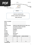 Grade 6 - Term 3 - Project - 2025 | PDF | Algebra | Numbers