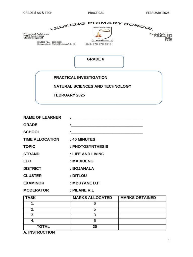Grade 6 Term 1 Practical Task | PDF | Leaf | Plants