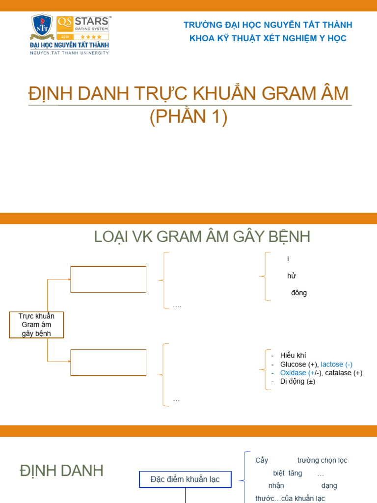 VS2TH - Bài 2 - Định danh trực khuẩn Gram âm | PDF