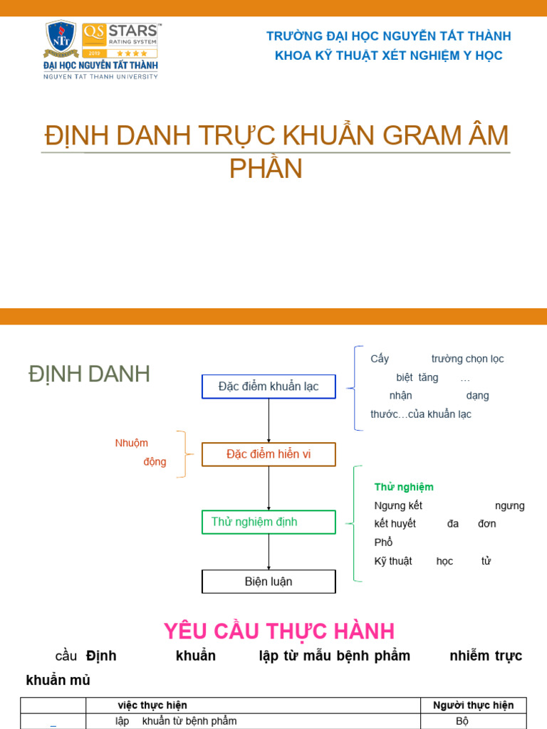 VS2TH - Bài 3 - Định danh trực khuẩn Gram âm | PDF