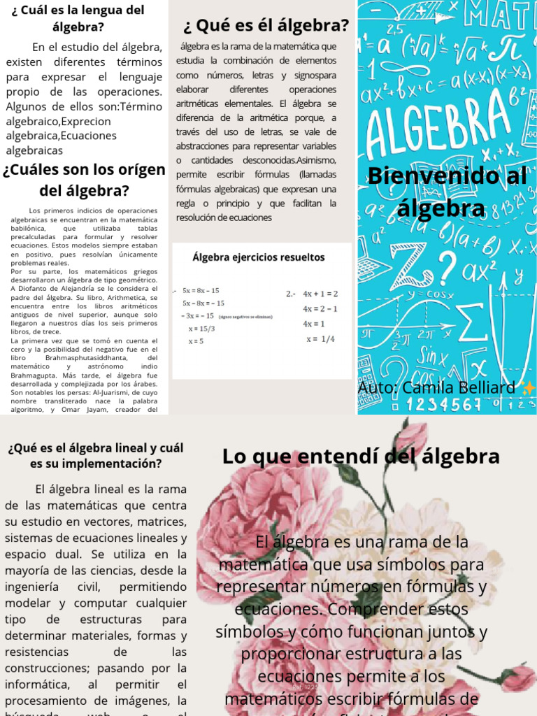 Folleto Brochure Catalogo de Productos Beige | PDF | Álgebra | Matemáticas