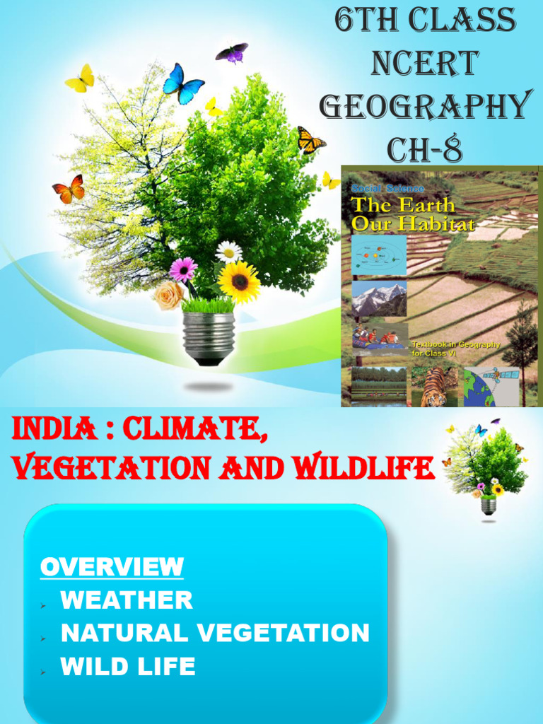 India: Climate, Vegetation & Wildlife | PDF | Weather | Monsoon