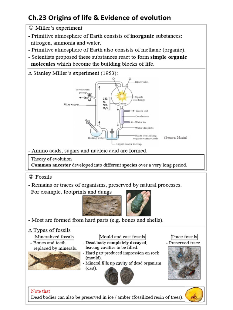 Bio Ch.23 Origins of Life & Evidence of Evolution | PDF | Natural ...