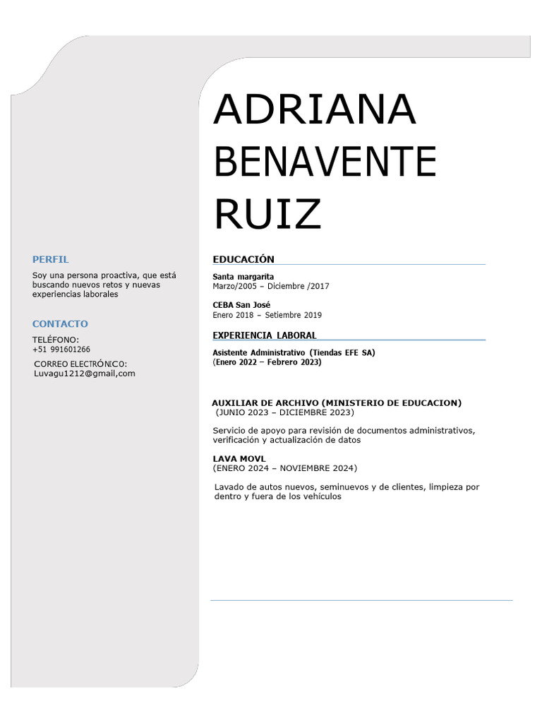 Adri CV Ultimooo MARIO | PDF