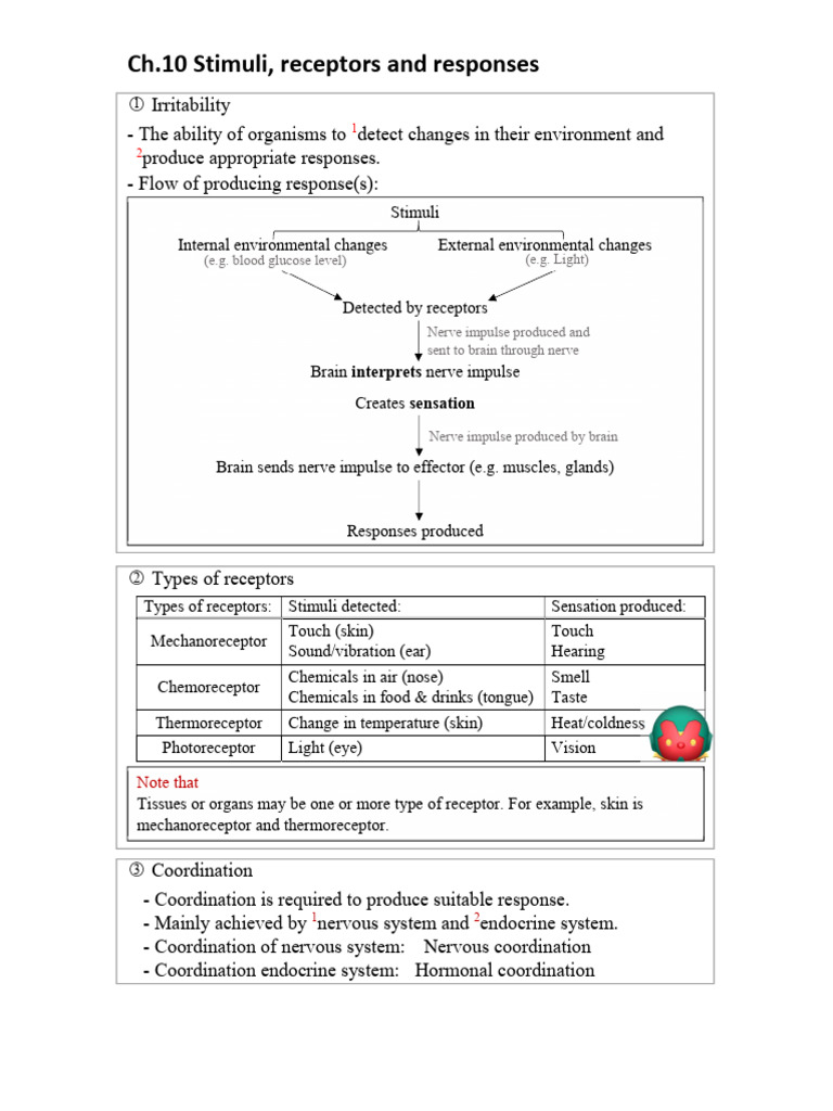 Understanding Stimuli and Responses in Organisms | PDF | Eye | Auditory ...