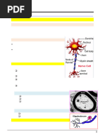Lfsc Grade 10 - Unit 4 - Plant and Animal Tissues | PDF | Tissue ...