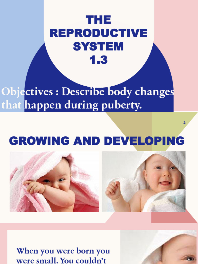 Puberty Changes in Boys and Girls | PDF