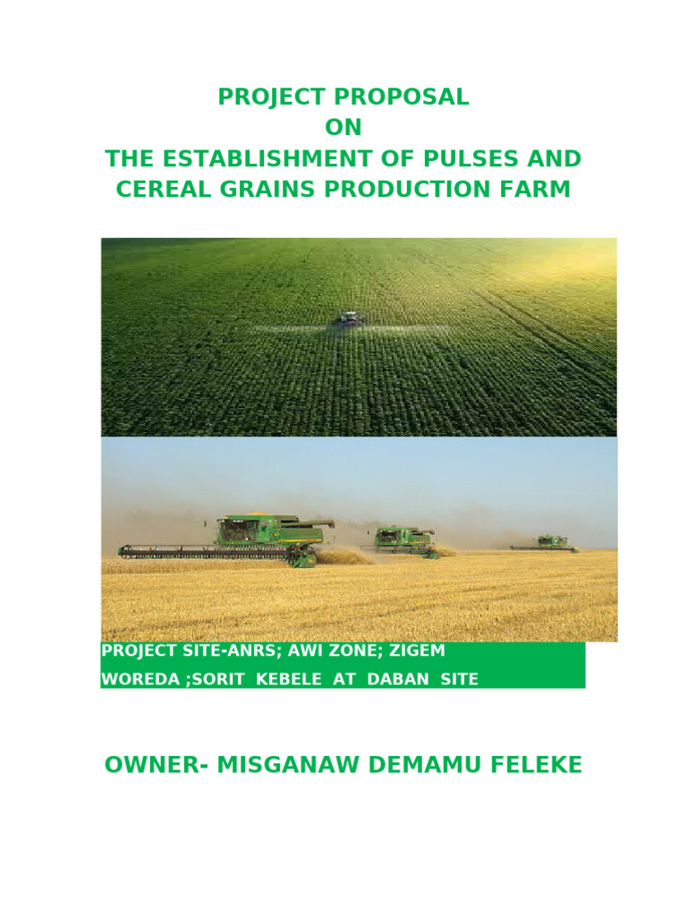 grains and pulses farm MISGANAW .MUS | PDF | Net Present Value | Expense