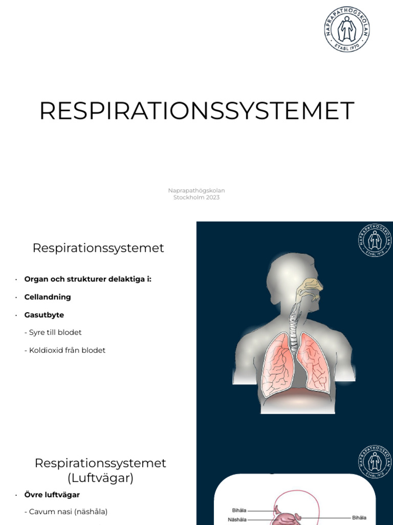 Respiration | PDF