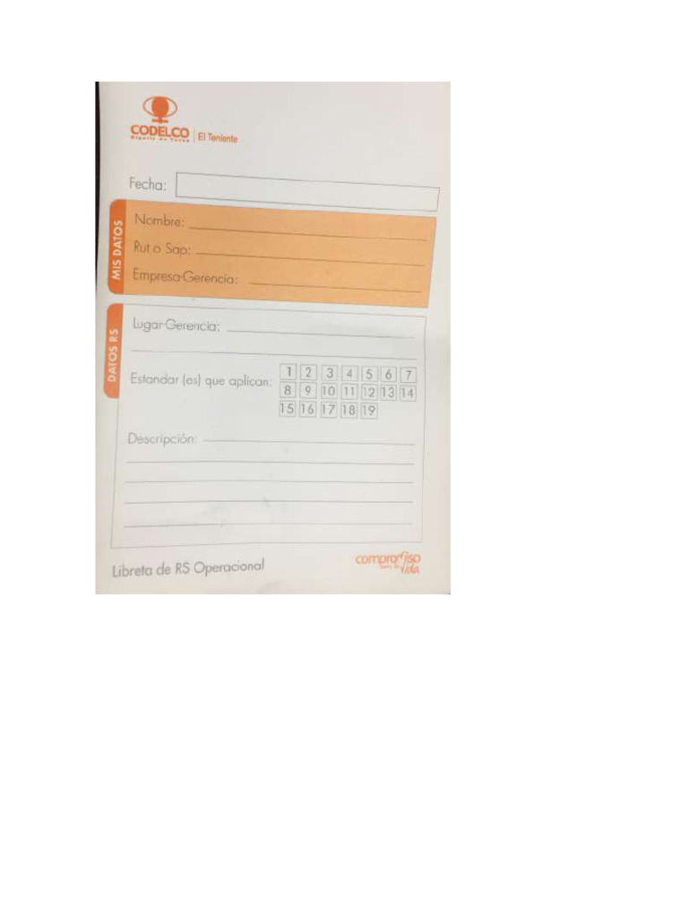 fORMATO rs | PDF