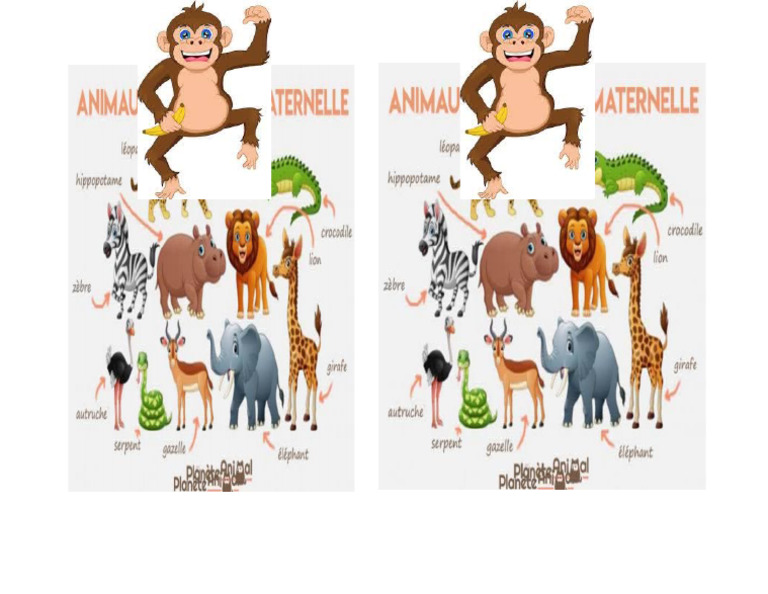 Le Singe | PDF