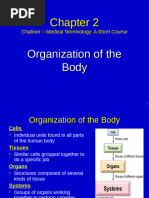 Medical Terminology - Chapter 2 Combining Forms | PDF