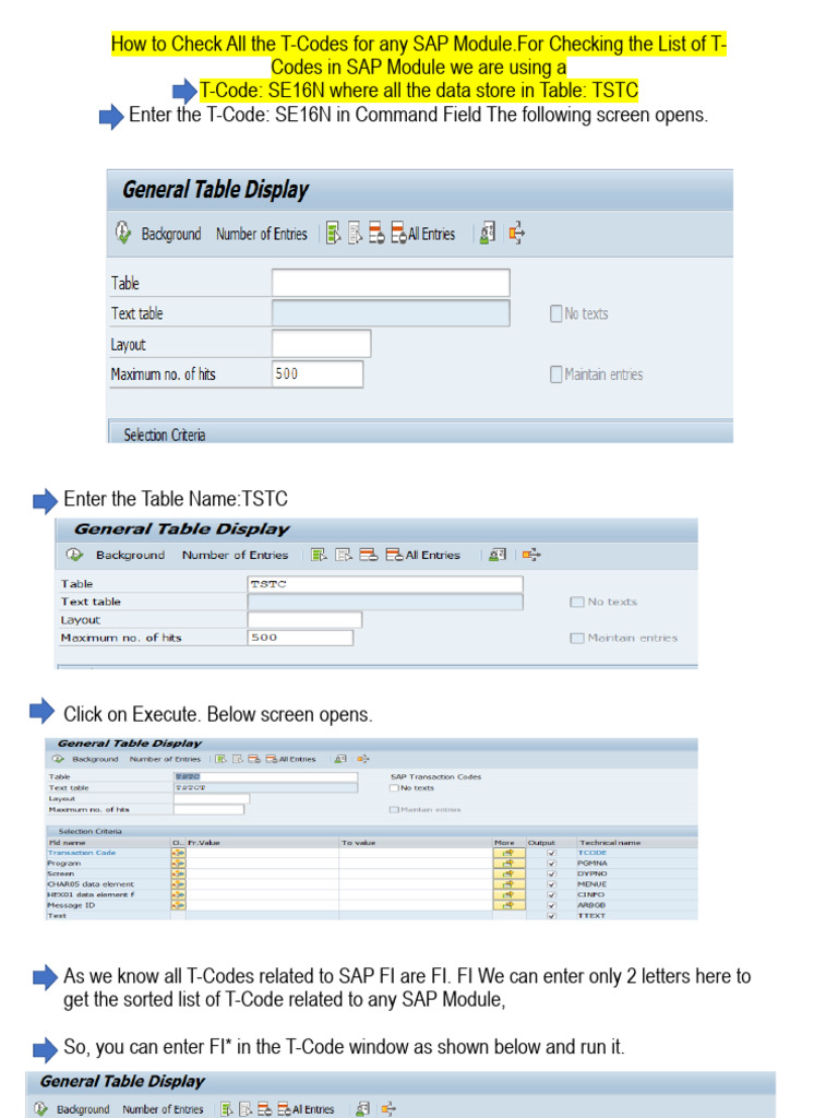 Extracting SAP T-Codes with SE16N | PDF