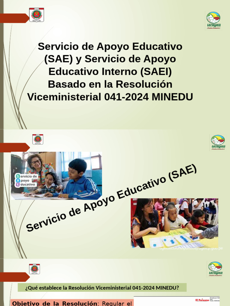 Funcionamiento del SAE y SAEI 2024 | PDF | Maestros | Enseñando