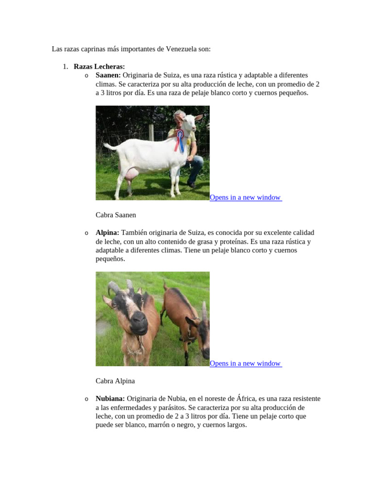 Las Razas Caprinas Más Importantes de Venezuela Son | PDF | Cabra | Carne