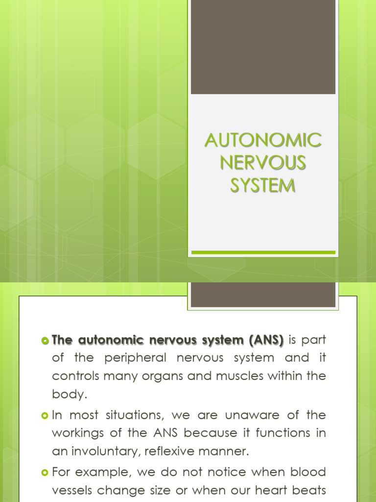 Autonomic Nervous System | PDF | Autonomic Nervous System | Neuroanatomy