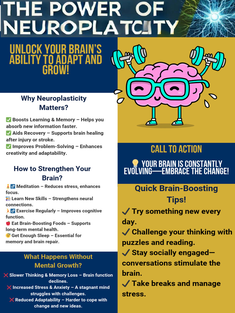 The Power of Neuroplasticity Unlock Your Brain's Ability To Adapt and ...