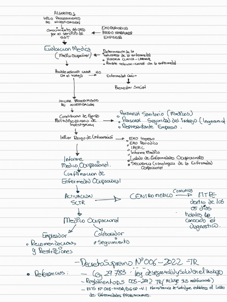 Flujograma Activacion SCTR | PDF