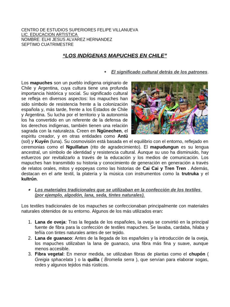 Cultura Mapuche Textiles Y Globalización Pdf Agricultura Textiles