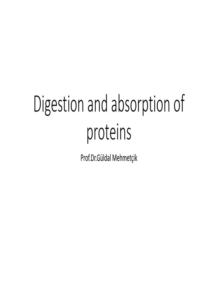 Digestion and Absorption of Proteins (3) | PDF