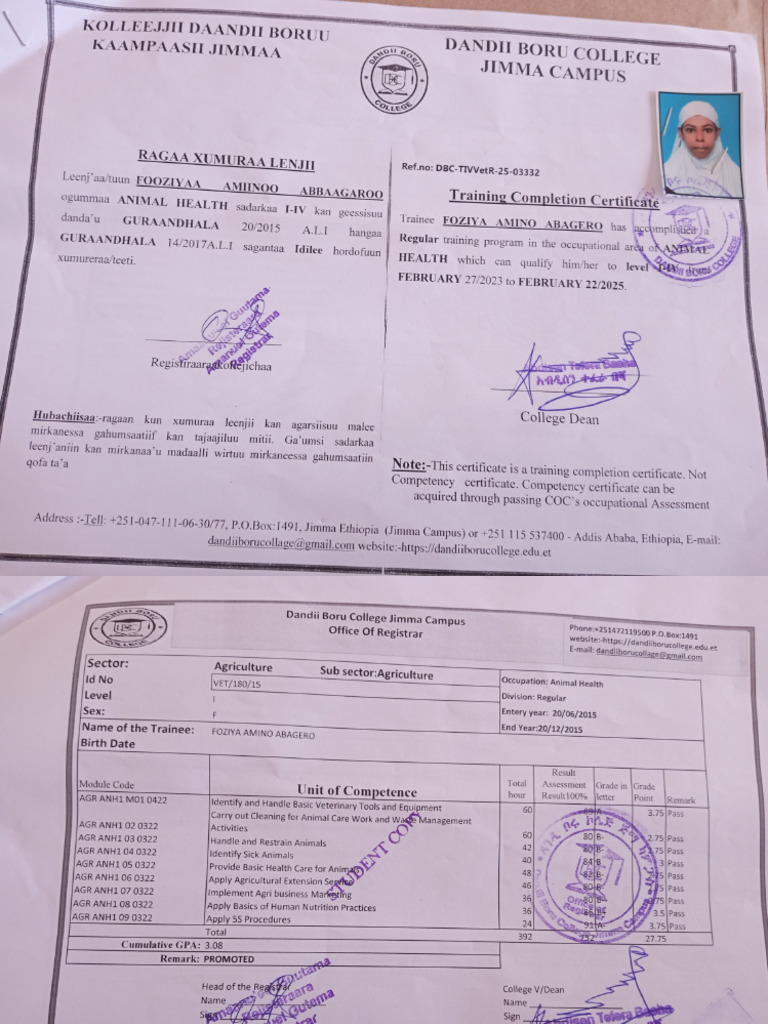 Foze's Document | PDF