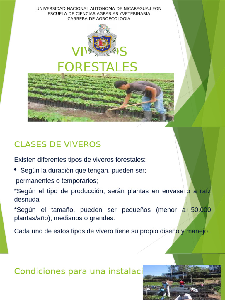 Viveros Forestales 5 | PDF | Raíz | Agua