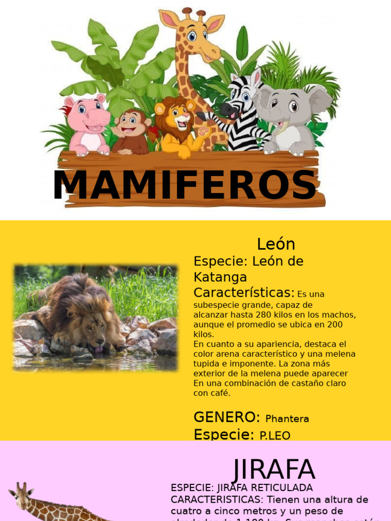 Mamiferos | PDF