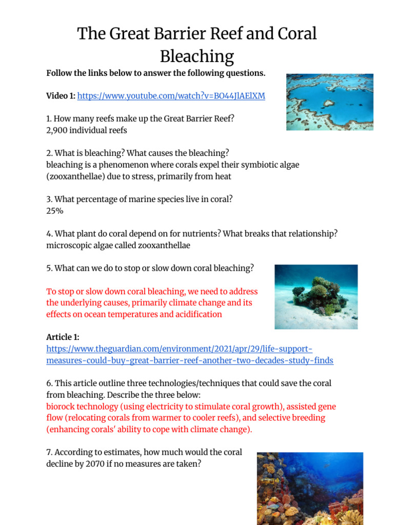 Liam Pierce - The Great Barrier Reef and Coral Bleaching WQ (1) | PDF