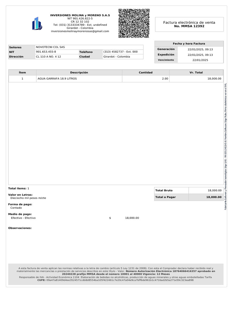 Formato Factura Electronica | PDF | Economias