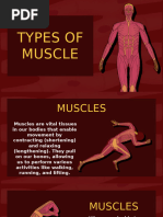 Muscular System Grade 4 Science | PDF | Wellness