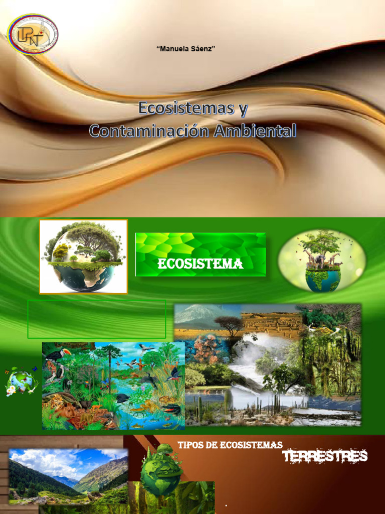 INFOGRAFIA Ecosistemas y Contaminación Ambiental | PDF | Contaminación | Ecosistema