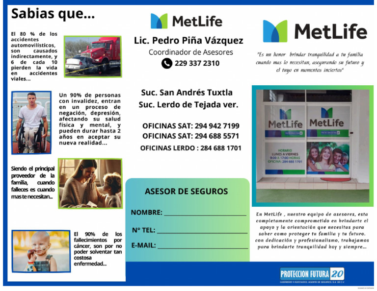 Frontal Del Flayer | PDF