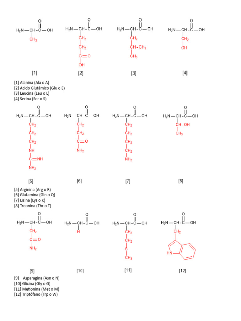 Amino Acids List and Codes | PDF