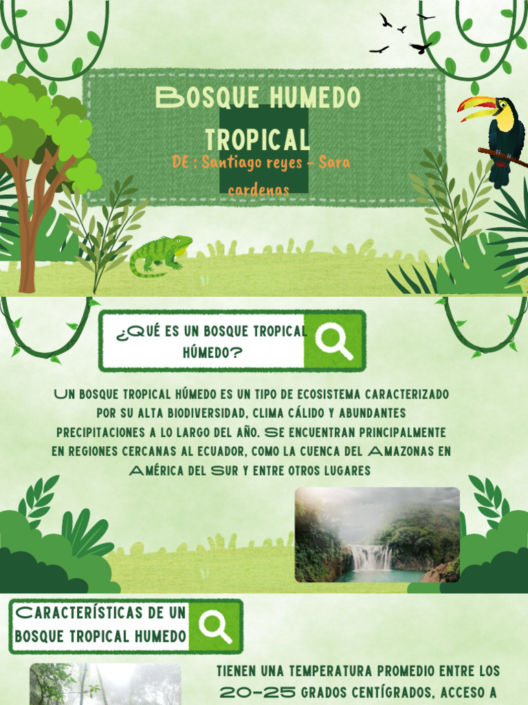 Bosque Humedo Tropical (1) | PDF