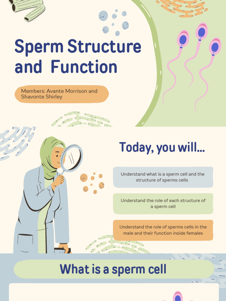 Exploring Cells in Detail Education Presentation in Hand Drawn Lightly ...