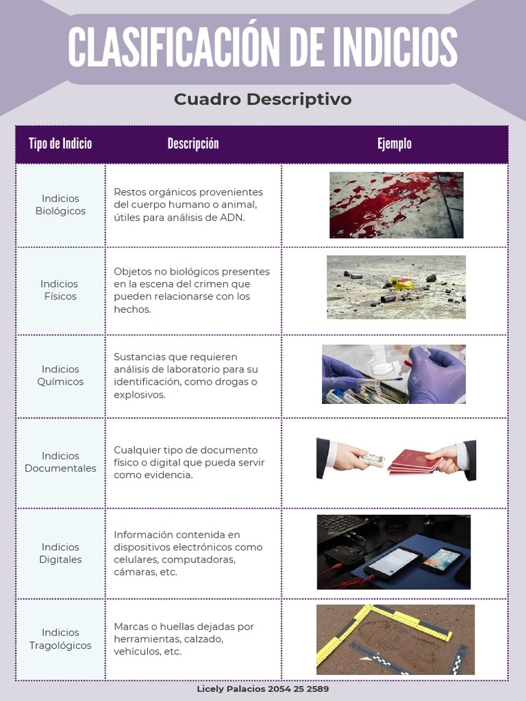 Clasificación de Indicios | PDF